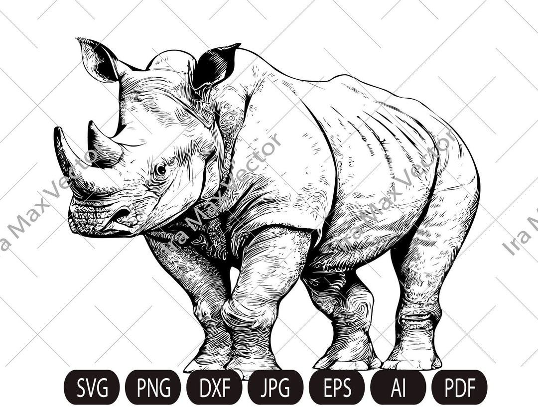 Rhino Svg, Rhino Clipart, Rhino Detailed, Rhino Head, Rhino Cut Files ...