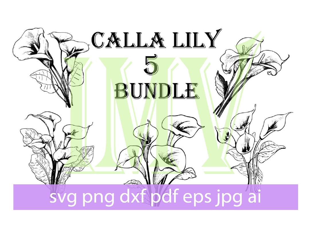 Calla Lily SVG, Calla Lily Bouquet, Spring Flower Vector Drawings ...