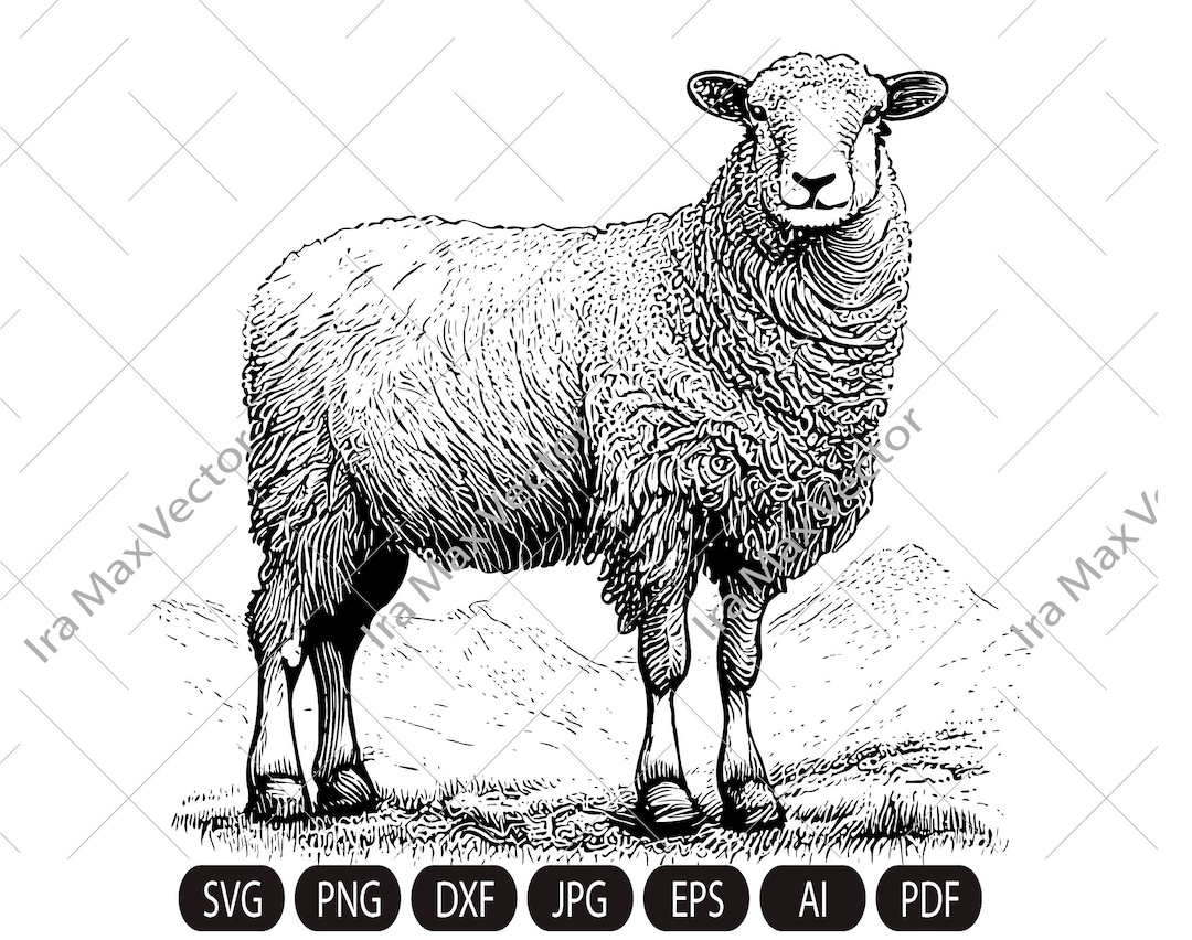 Cute Sheep SVG, Sheep Standing on the Grass, Sheep Clipart, Sheep ...