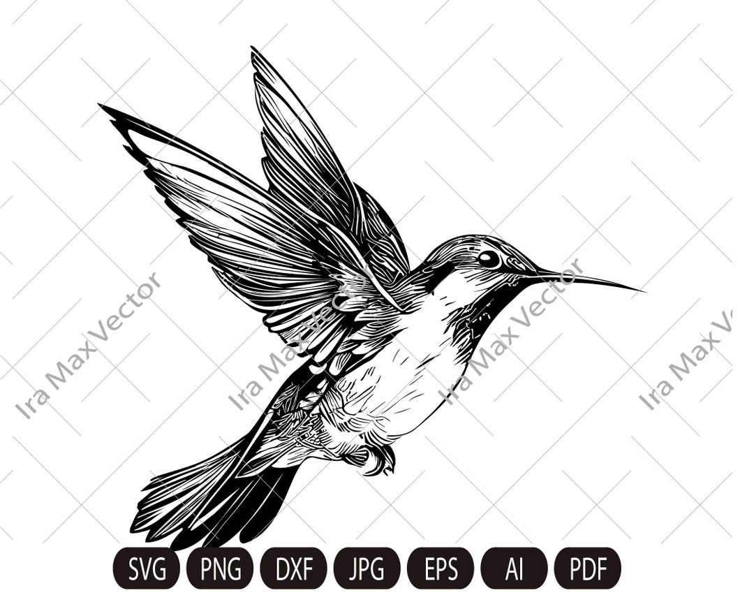 Hummingbird Svg, Hummingbird Clipart, Hummingbird Png, Hummingbird ...
