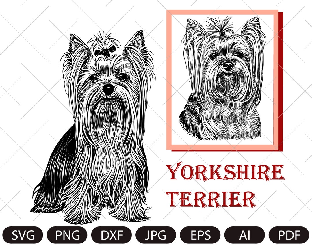 Yorkshire Terrier Svg,yorkie Face Clipart,dog Svg ,yorkshire Terrier ...