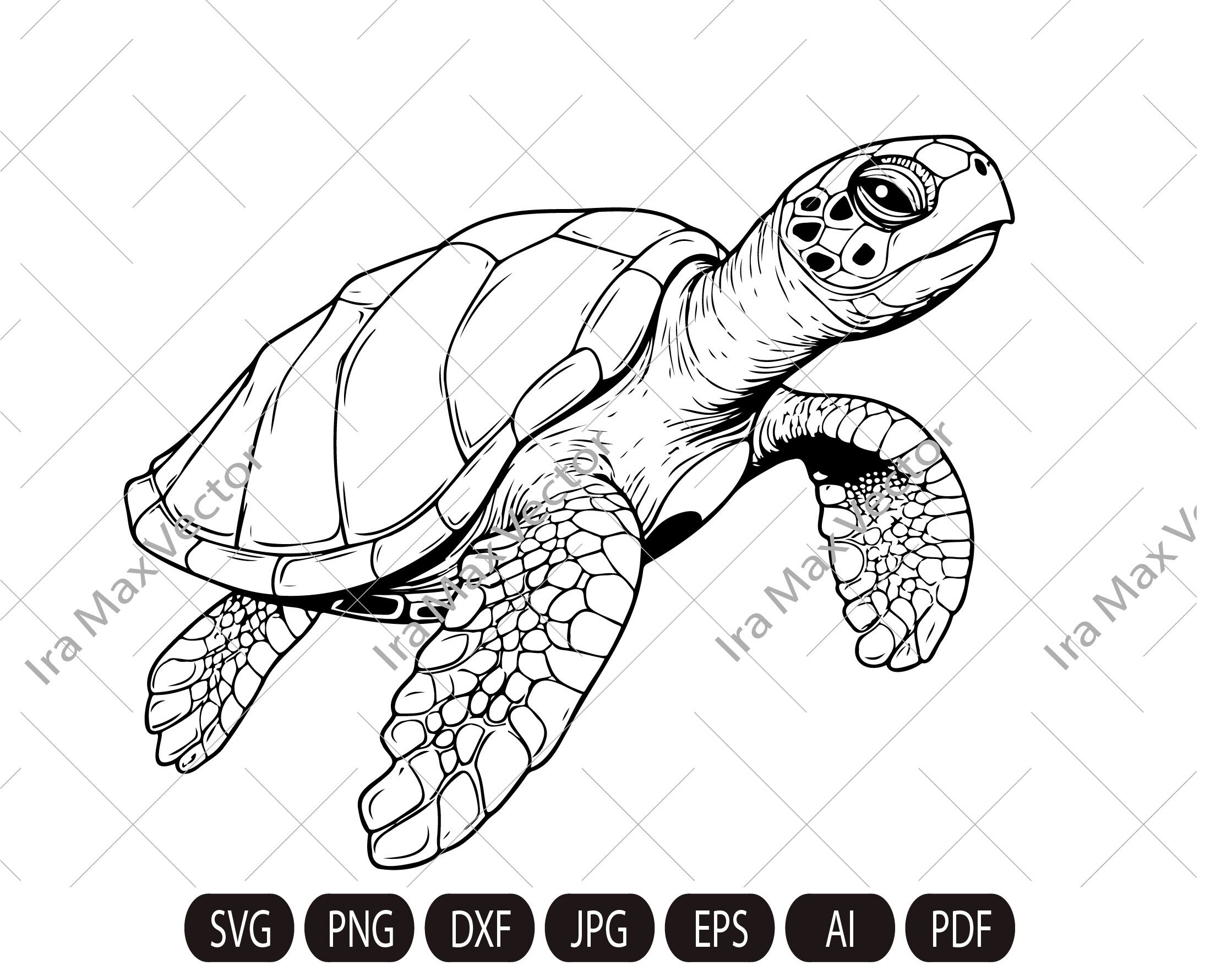 Tortue Svg, Clipart tortue, tortue Png, tête de tortue, vecteur de ...