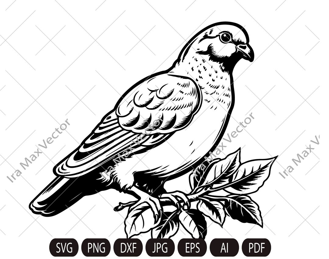 Pigeon Dove Svg, Standing Pigeon Svg, Pigeon on the Branch,bird Svg ...