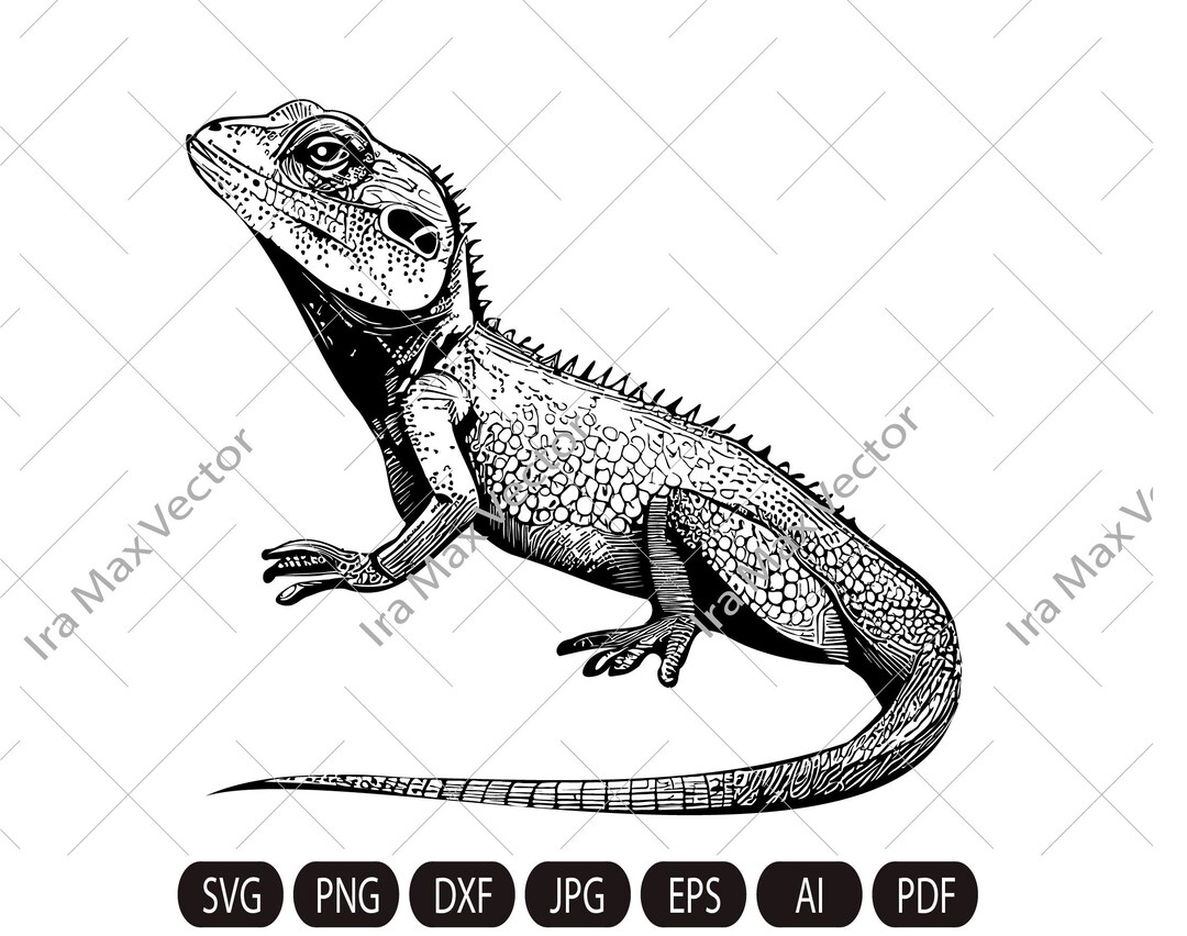 Cute Lizard Svg, Lizard Face Svg, Sitting Lizard, Iguana Face Svg Png ...