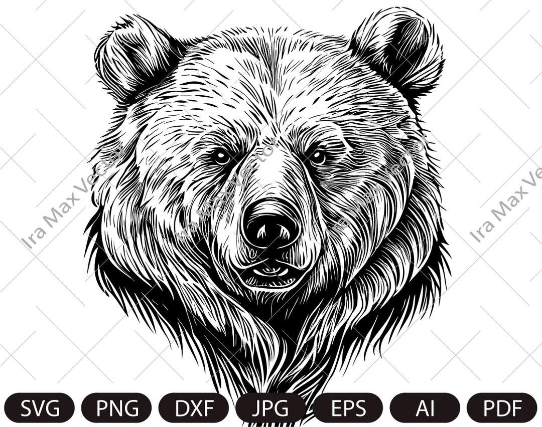 BEAR HEAD SVG, Bear Clipart, Bear Face Svg, Bear, Grizzly Bear Vector ...