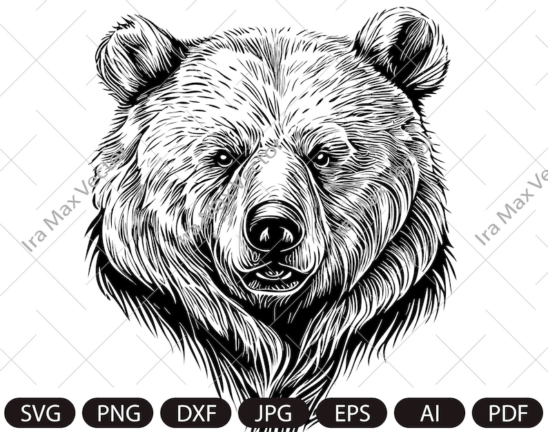 BEAR HEAD SVG Bear Clipart Bear Face Svg Bear Grizzly Bear - Etsy Australia