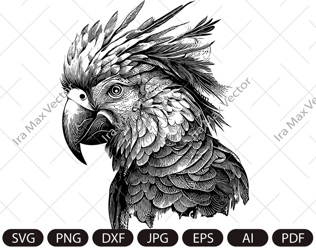 Parrot Svg, Exotic Bird Svg, Macaw Svg, Silhouette Dxf, Bird Clipart ...