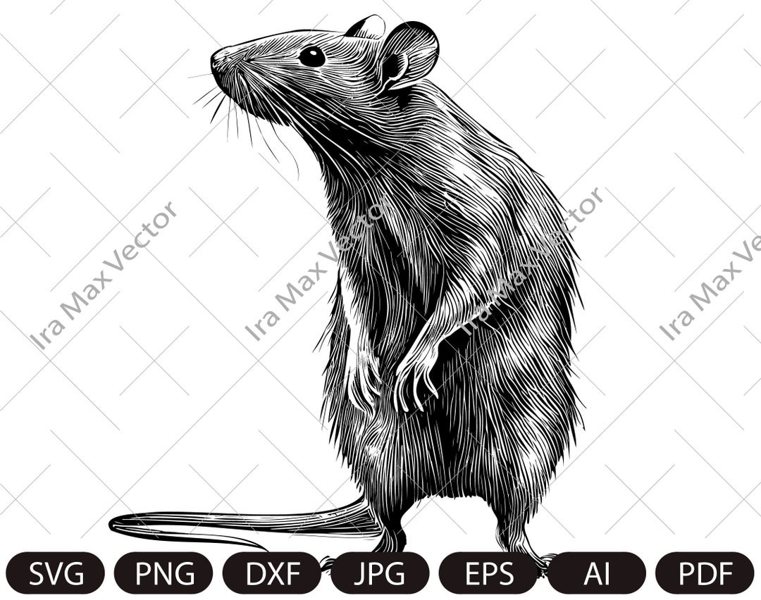 Rat Svg, Rat Clipart, Rat Png, Rat Head, Rat Cut Files, Rat Sublimation ...