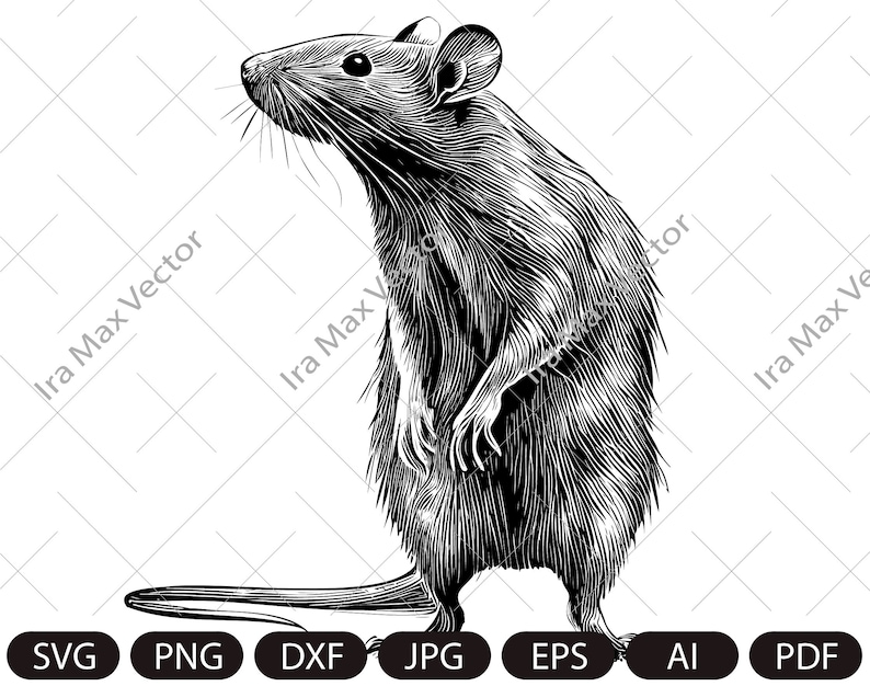 Rat Svg Rat Clipart Rat Png Rat Head Rat Cut Files Rat - Etsy