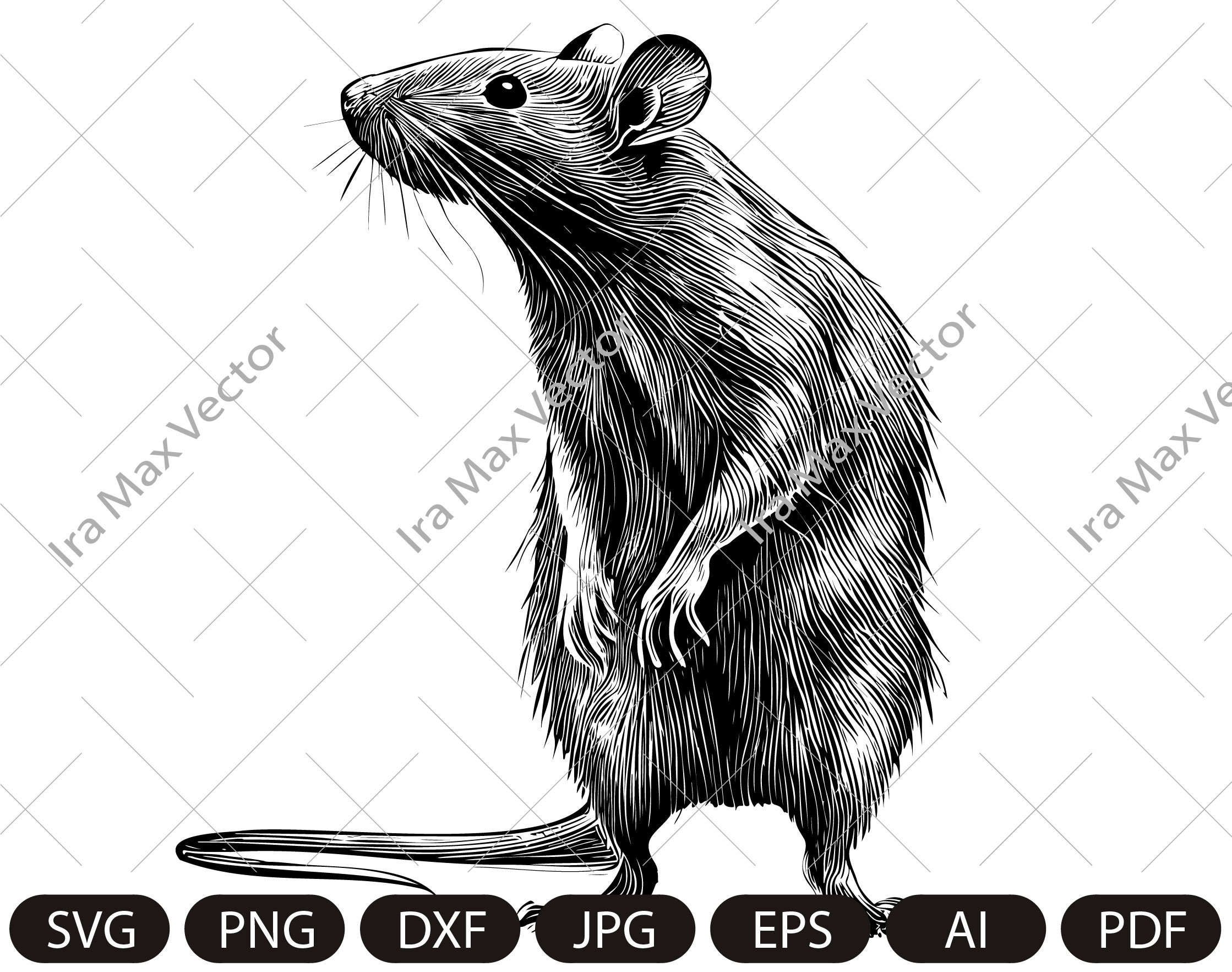 Cute Rat Clipart Black And White Pig