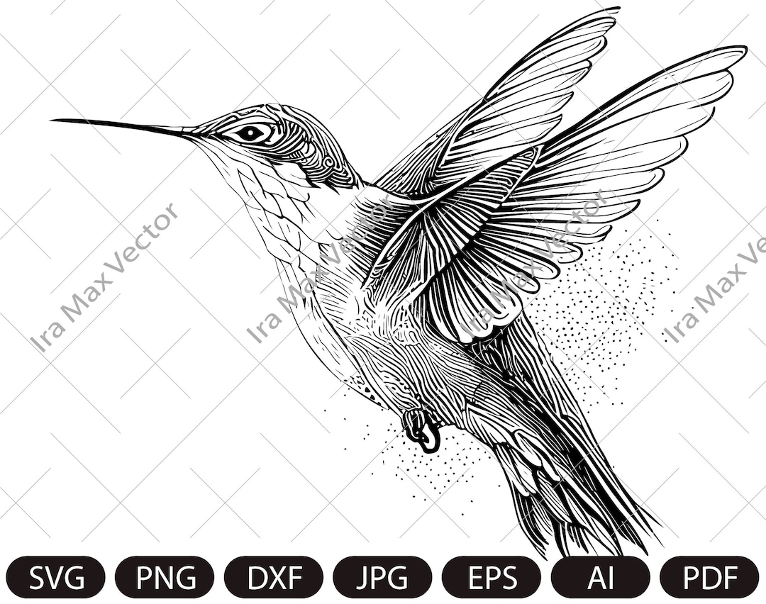 Colibrí Svg, Colibrí Clipart, Colibrí Png, Cabeza de Colibrí, Archivos ...