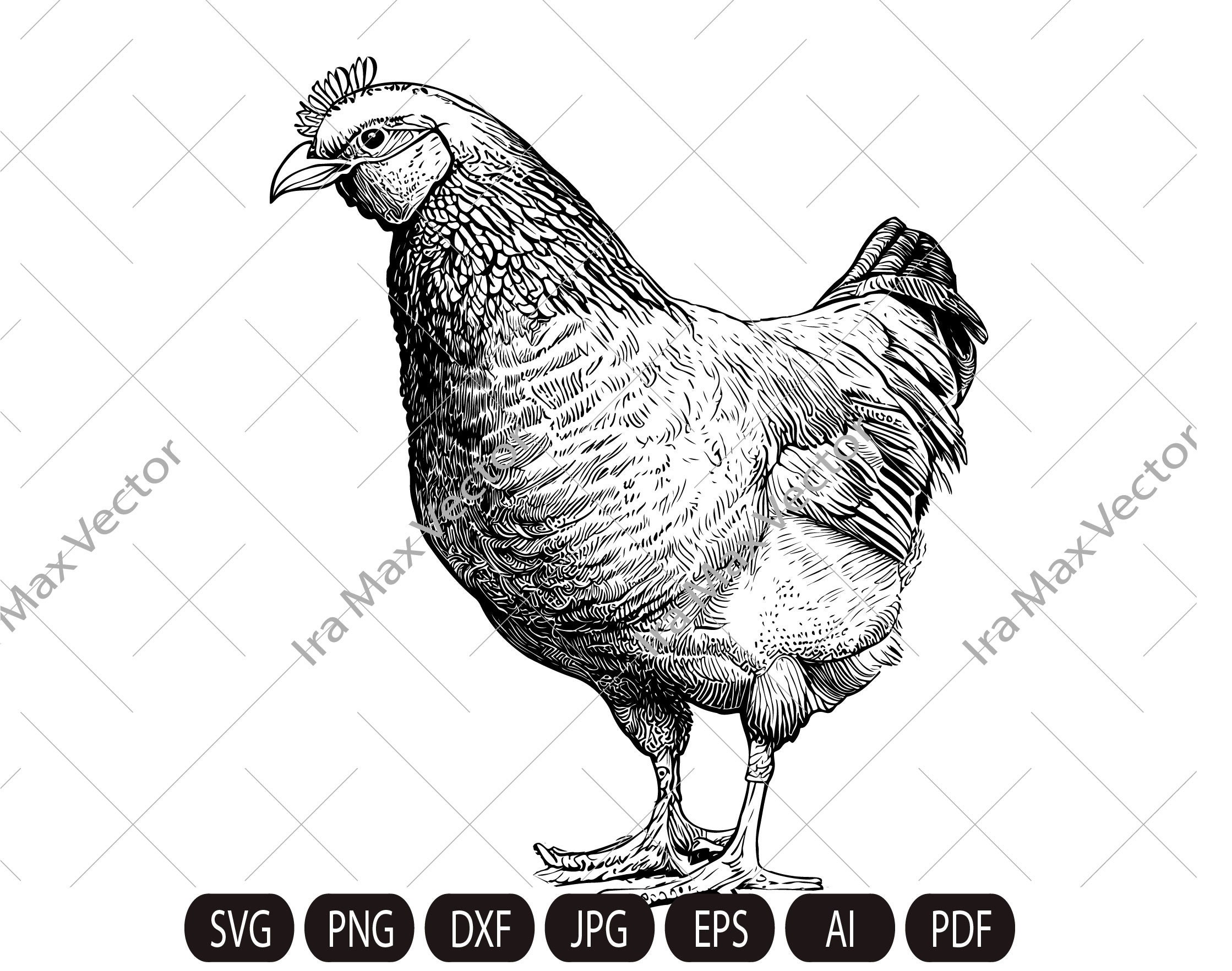 Gallina de granja SVG vector de gallina pollo de pájaro - Etsy México