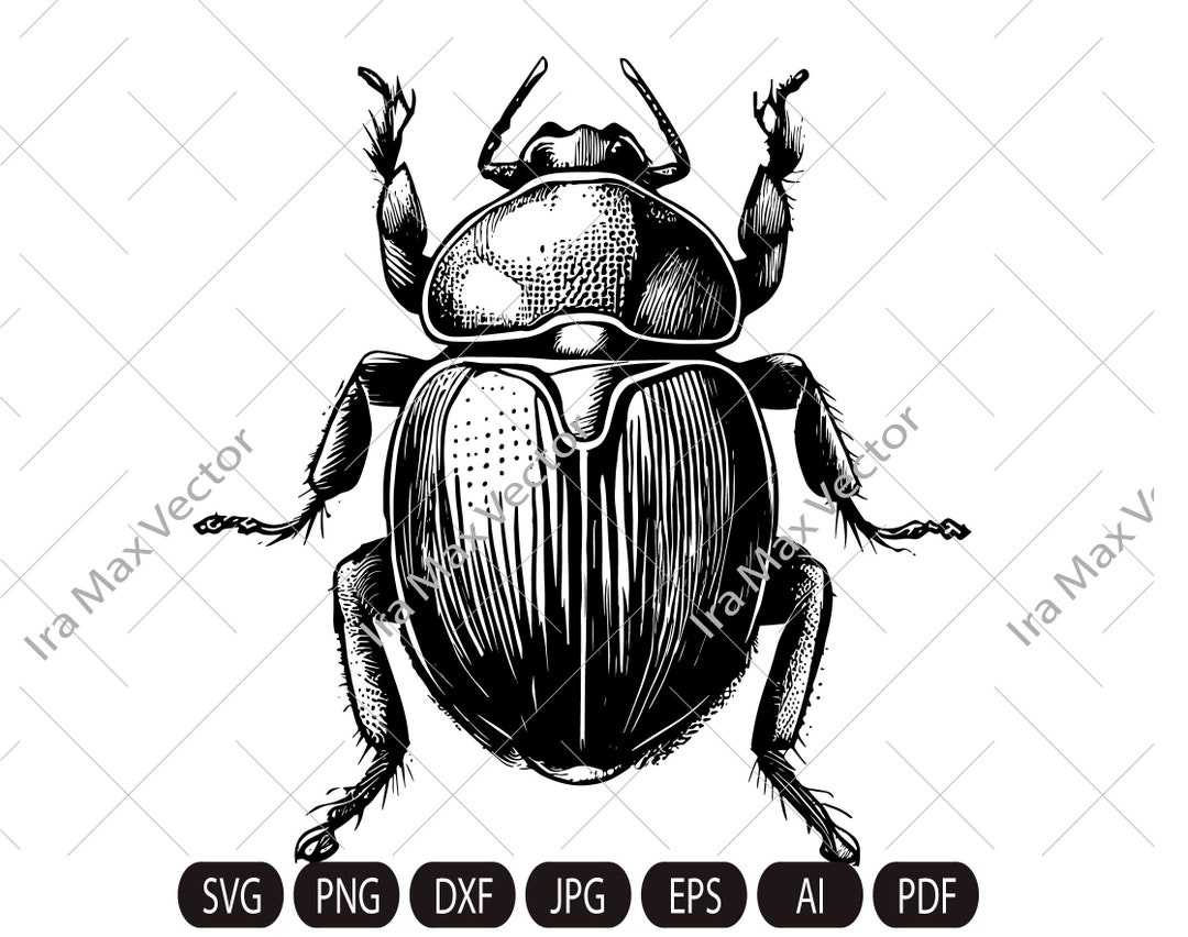 Scarab, Beetle Logo Svg , Bug Svg, Scarab Svg, Dung Beetle Svg ...
