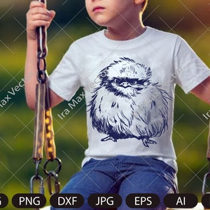 Silkie Hen,angry Birds, Silk Rooster,silkie Bird ,FUNNY SILKIE HEN ...