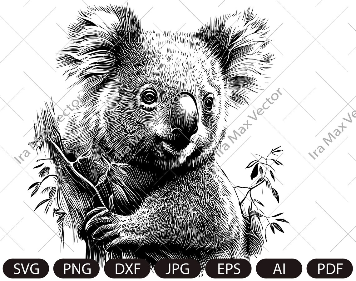 Koala Svg File, Koala Detailed File, Animal Face Svg , Cute Koala Svg ...