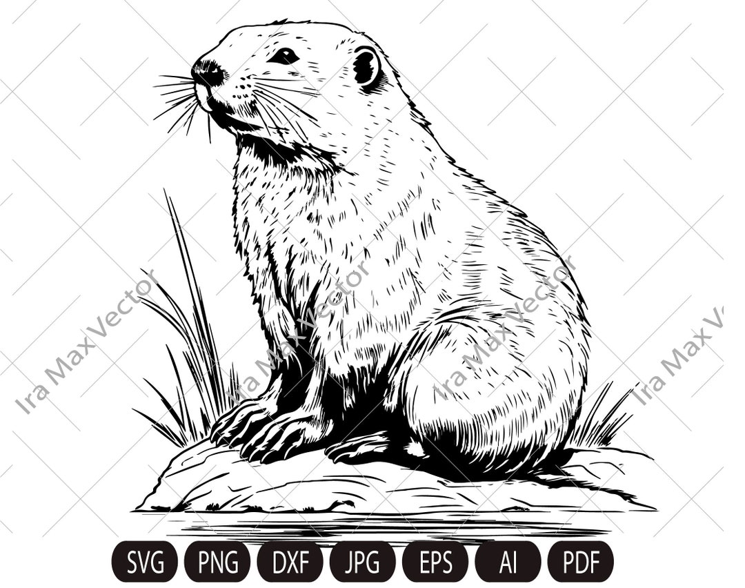 Happy Beaver Svg, Cute Beaver Svg, Beaver Svg, Smiling Beaver Svg ...