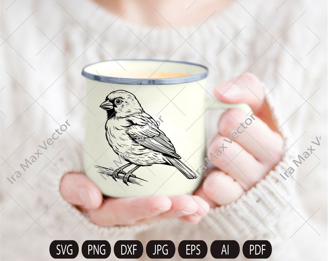 Canary SVG Canary Bird Svg Canary Canary Png Canary - Etsy