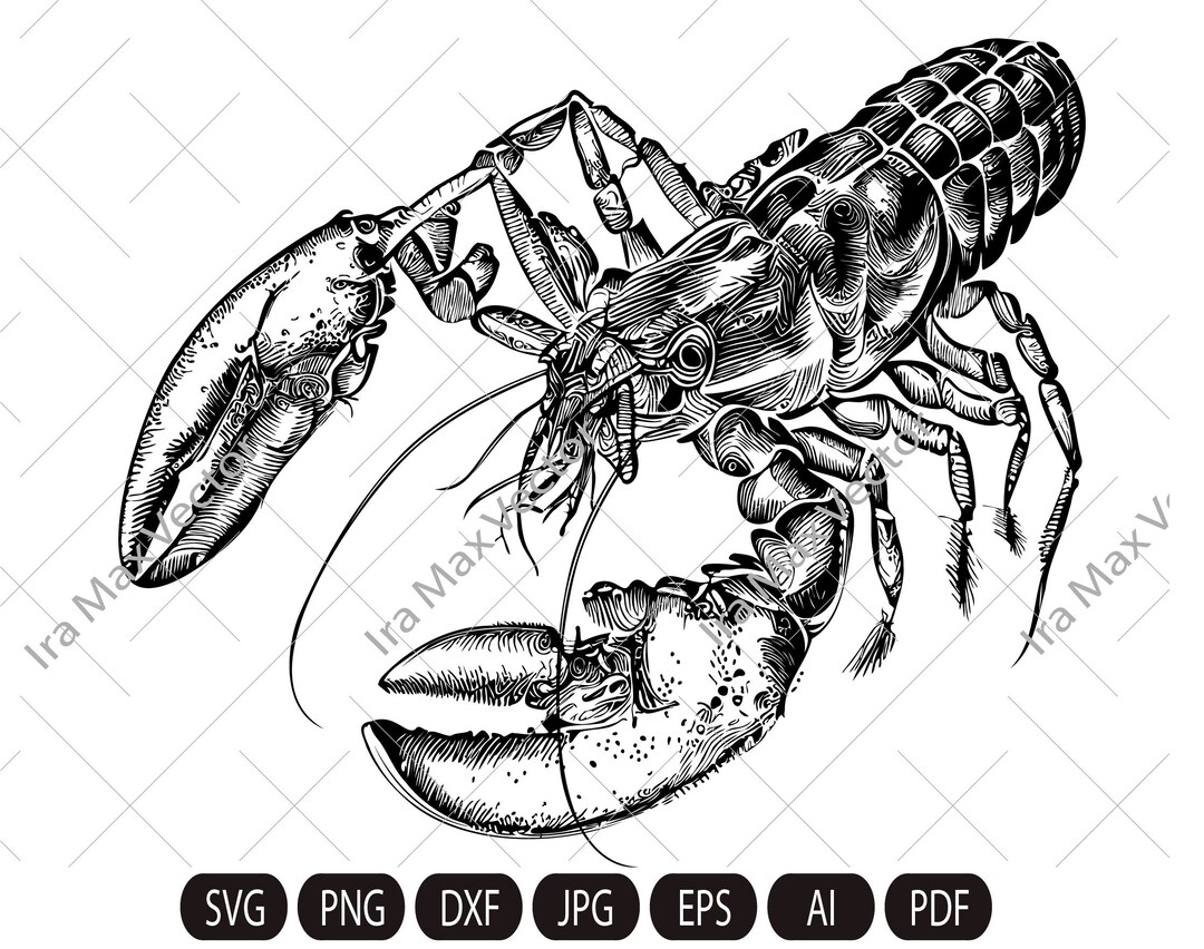 Lobster Svg, Lobster, Sea Food Svg, Sea Svg, Summer Svg, Lobster ...