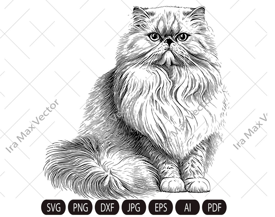 Cat Svg , Cat Persian Svg, Persian Fluffy Cat, Cute Kitten Face Svg ...