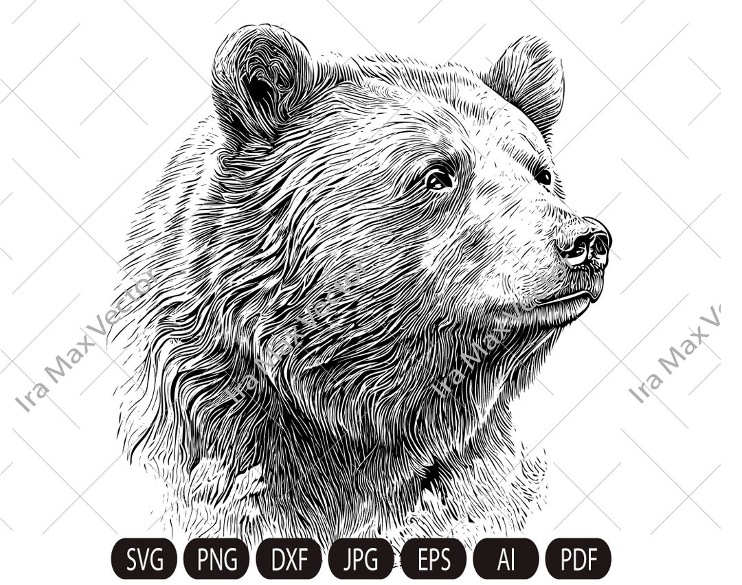 BEAR Svg, BEAR Head Svg, Bear Clipart, Bear Face Svg, Bear, Grizzly ...
