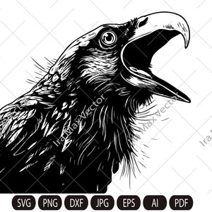 Raven Svg, Crow Head,crow Face,raven Head, Raven Silhouette Dxf, Raven ...