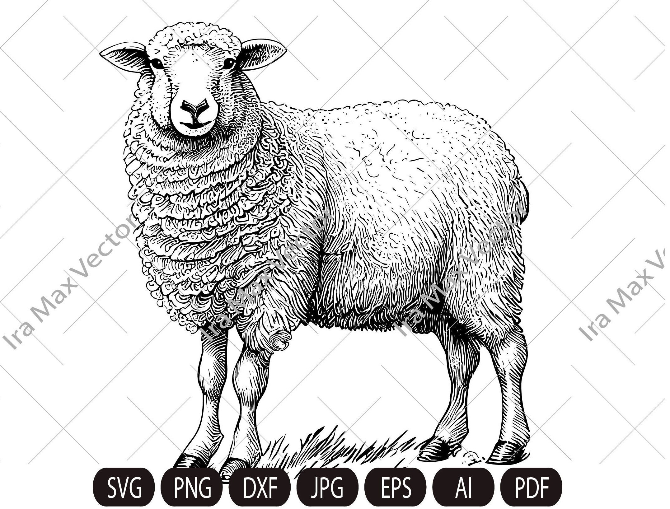 Cute Sheep SVG, Sheep Standing, Sheep Clipart, Sheep Detailed, Sheep ...
