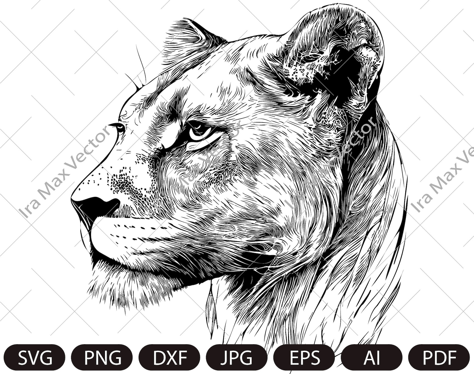 Lioness Head SVG Lion Face Svg Wild Cat Svg Lion - Etsy