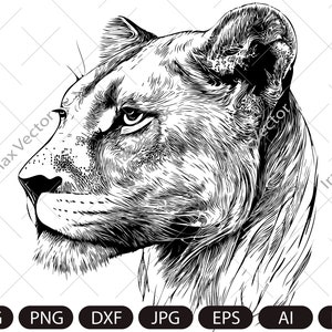 Lioness Head SVG Lion Face Svg Wild Cat Svg Lion - Etsy