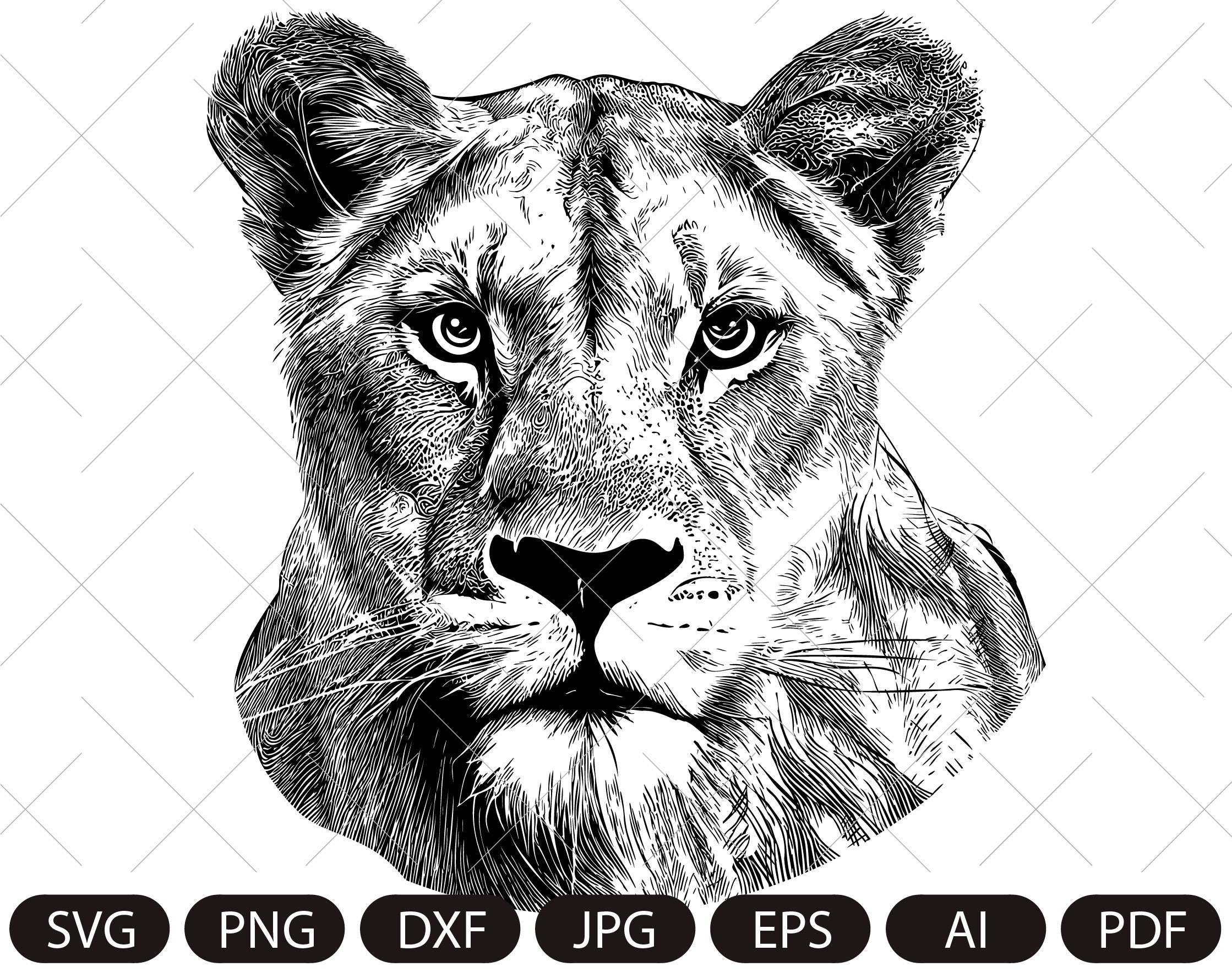 Lioness Head Drawing