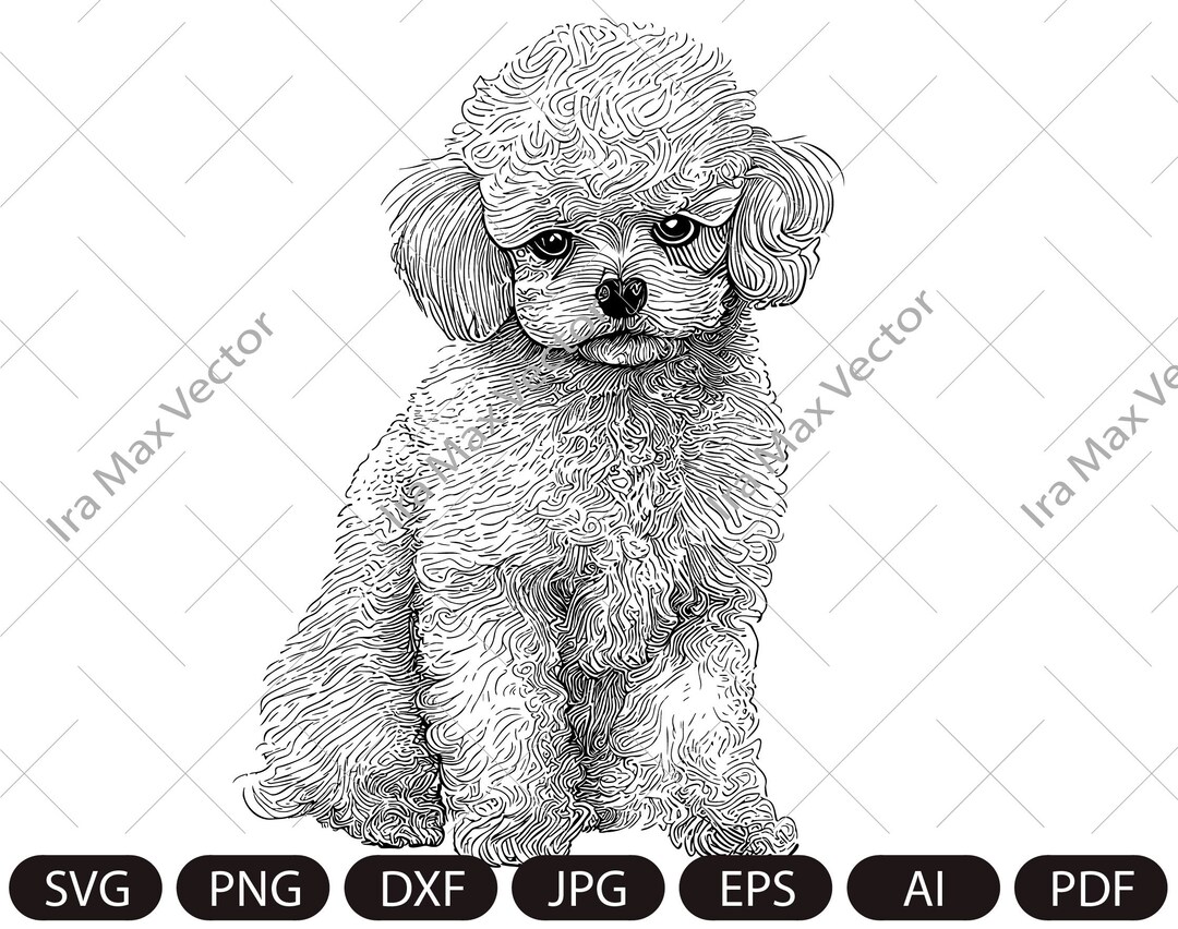 Poodle Svg, Poodle Print for Shirt, Poodle Dxf Png, French Poodle ...