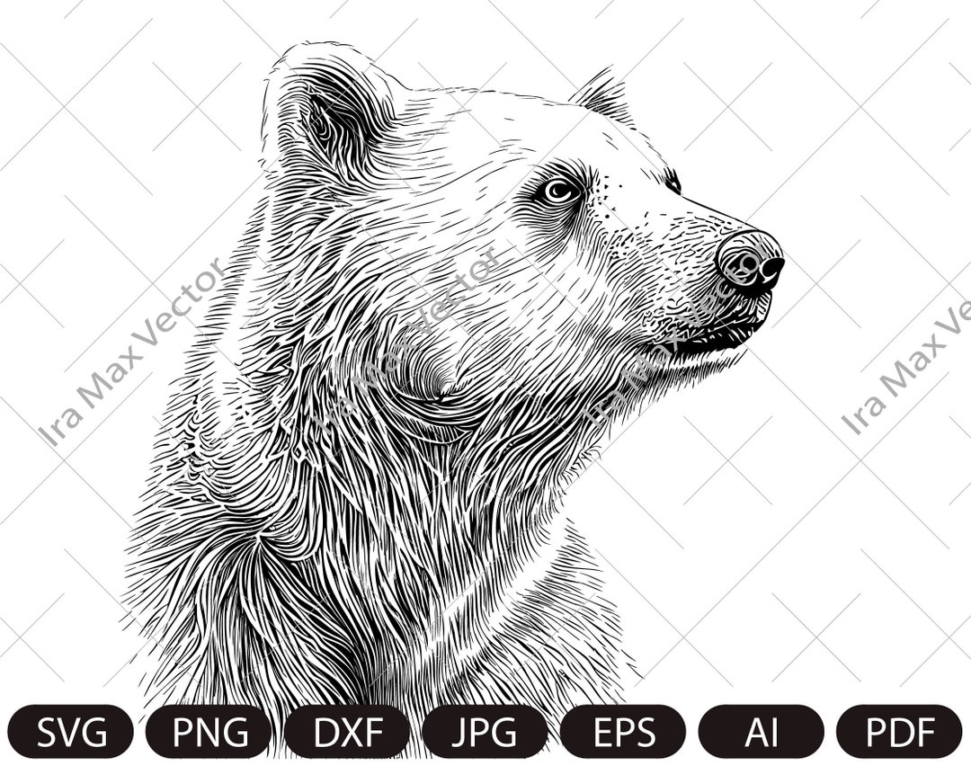 Polar Bear SVG, Polar Bear Head Svg, Polar Bear Face Svg, Polar Bear ...