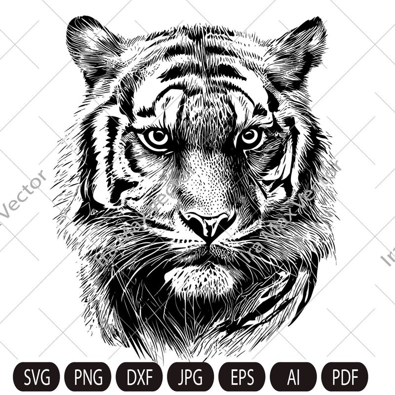 Tiger Svg - Etsy