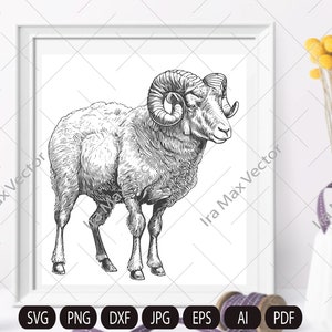 Ram Sheep SVG, Mountain Sheep, Farm Animal Graphics Illustration,ram T ...