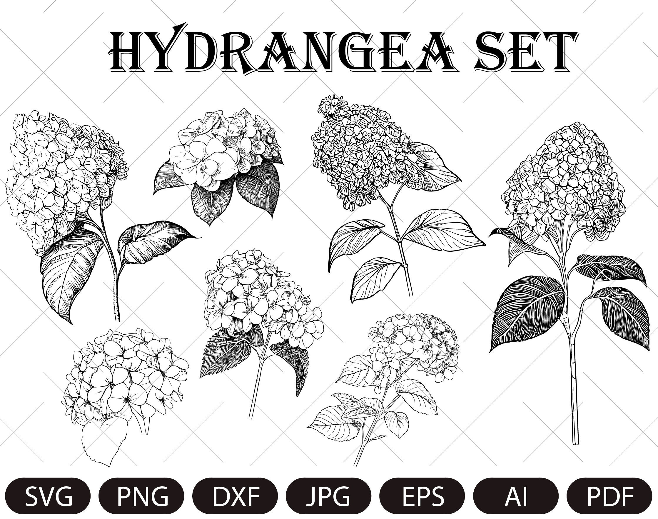 Hydrangea SVG Hydrangea PNG Vintage Botanical Line Art - Etsy UK