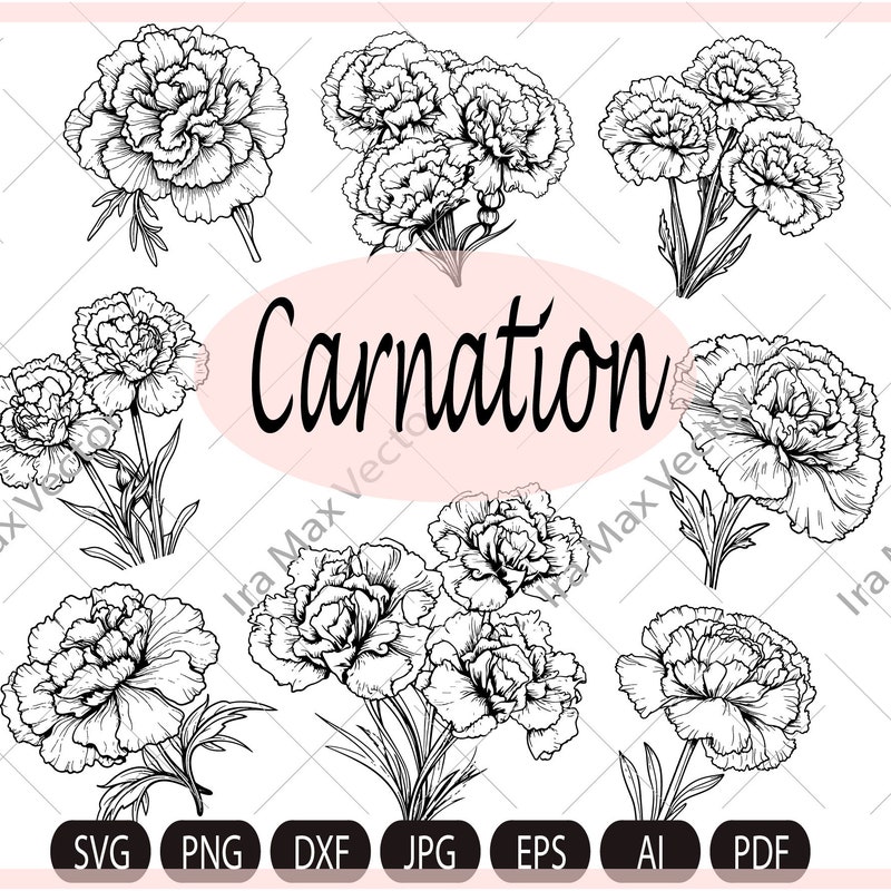 Carnations Flower Poster - Etsy