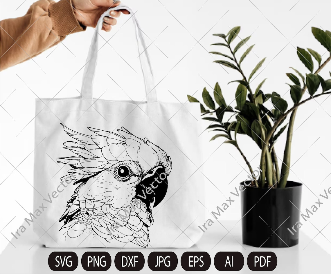 Cockatoo Svg File, Cockatoo Head, Cockatoo Parrot, Cockatoo Cut File ...