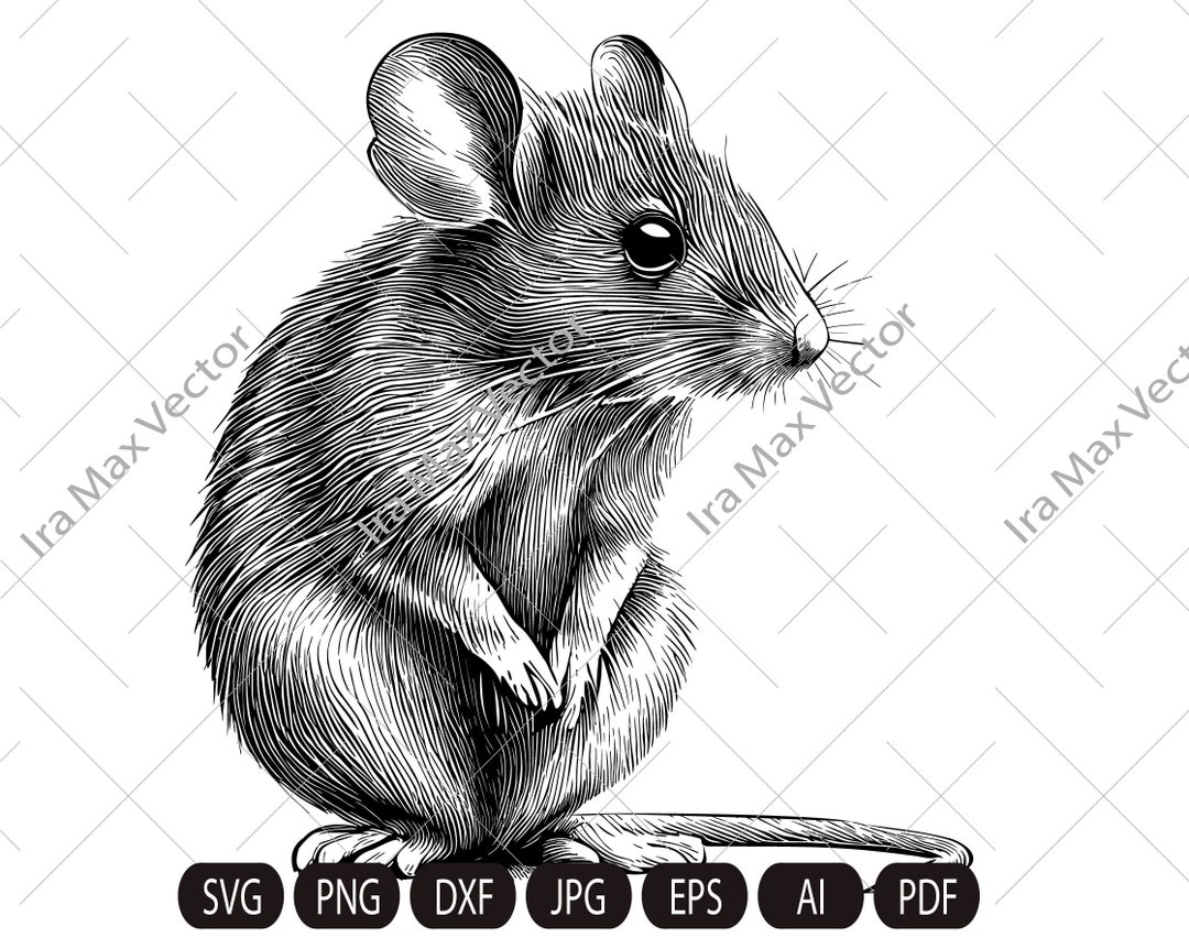 Mouse Svg, Little Mouse Clipart, Mouse Baby, Mouse Head, Mouse Cut ...