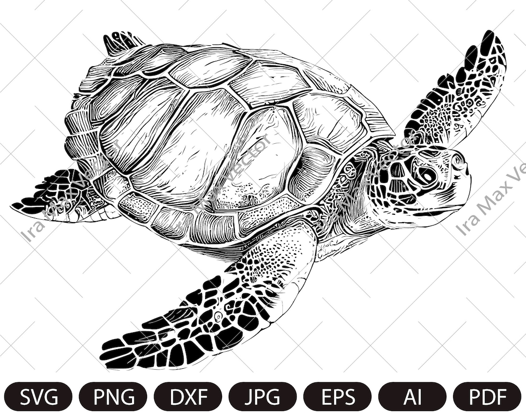 Turtle Svg, Turtle Clipart, Turtle Png, Turtle Head, Turtle Vector ...