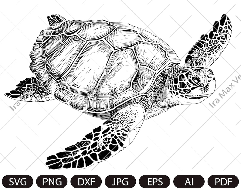 Turtle Svg Turtle Clipart Turtle Png Turtle Head Turtle - Etsy