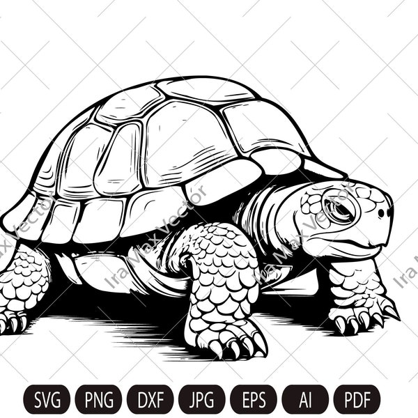 Turtle Svg - Etsy