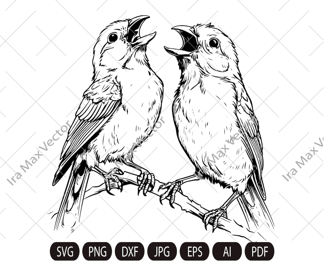 Canary SVG, Canary Bird Svg, Canaries Singing Svg, Pair of Canaries ...