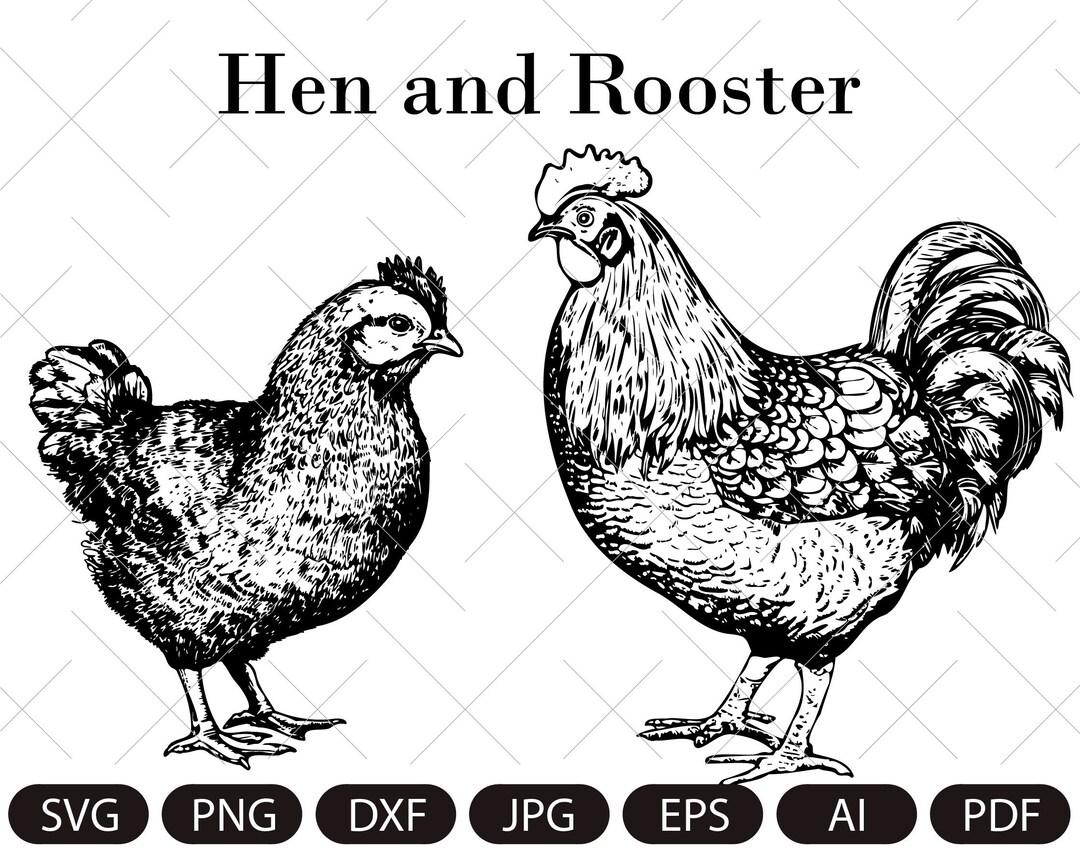 Hen and Rooster Svg, Portrait of Hen and Rooster, Domestic Poultry Svg ...