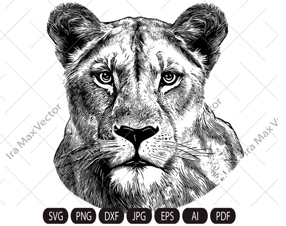 Dibujo De Cabeza De Leona
