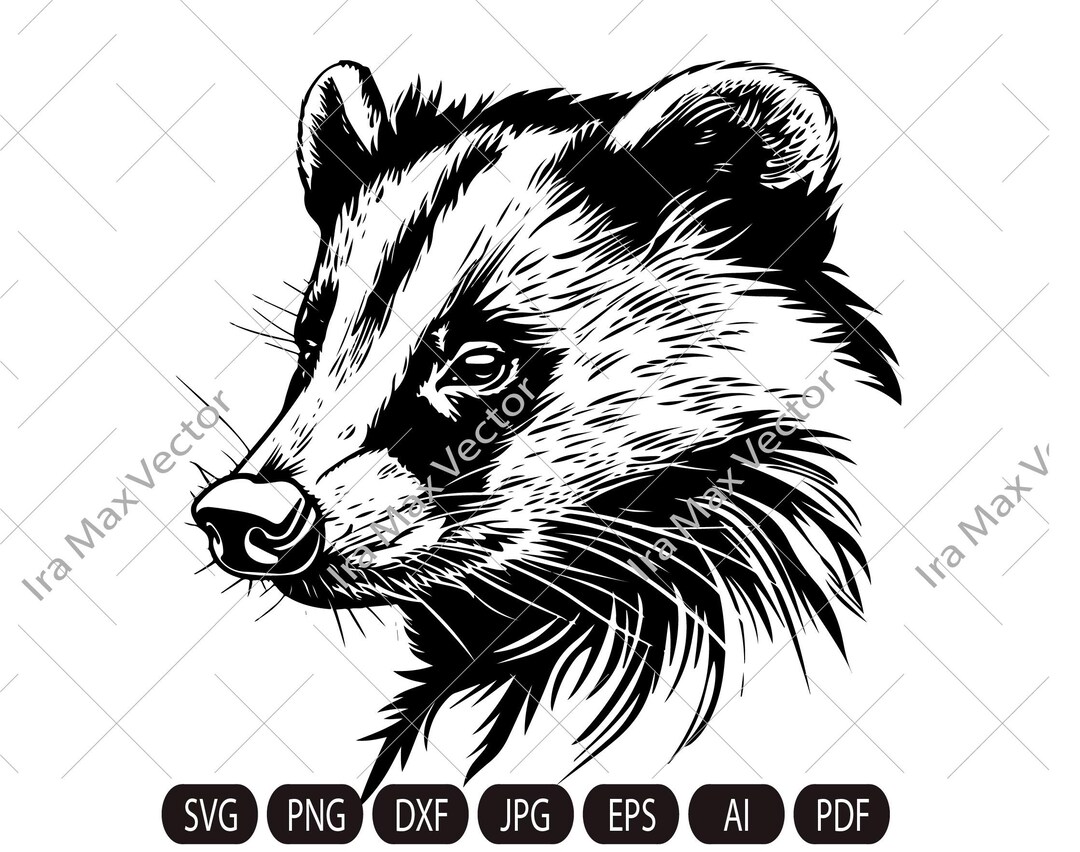 Badger Svg, Badgers Svg, Badgers Baseball Basketball Football Svg ...