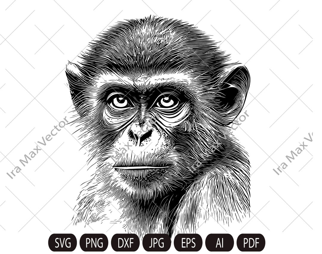 Monkey Head Svg /MONKEY Face Svg / Monkey Svg / Monkey King Svg ...
