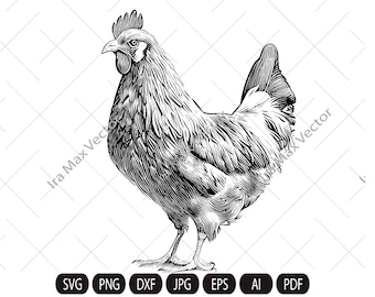 Farm Hen and Eggs Vector. Laying Hen in Nest SVG. Bird Chicken Vintage ...
