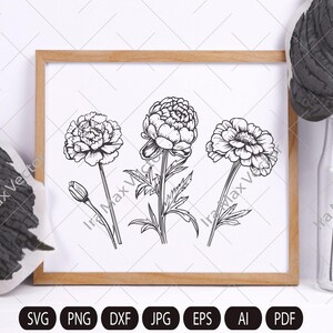 Marigold SVG Bundle, Marigold Flower Svg, Marigold Dxf, Marigold Png ...