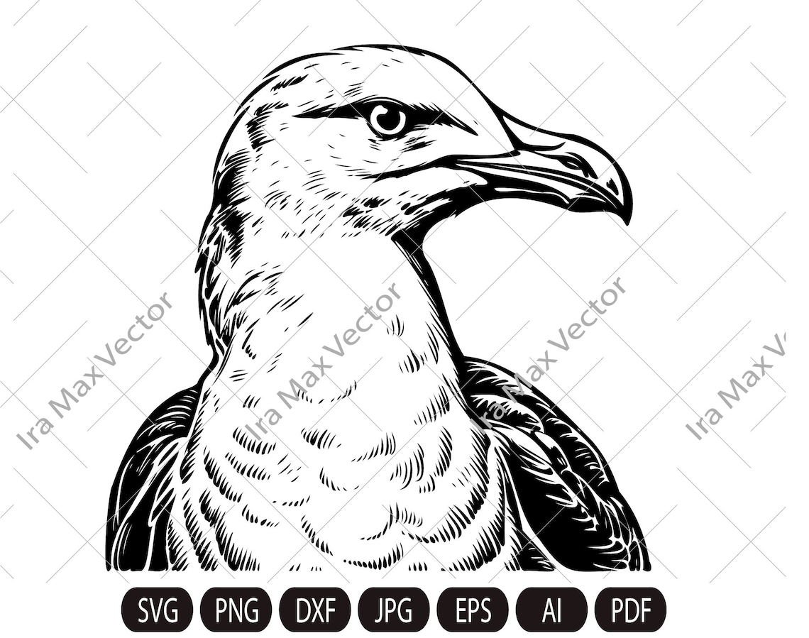 Seagull Svg Nautical Svg Seagull Dxf Seagull Png Seagull - Etsy