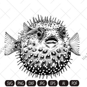 Puffer Fish SVG, Puffer Fish Detailed, Ocean Animals SVG, Startled ...