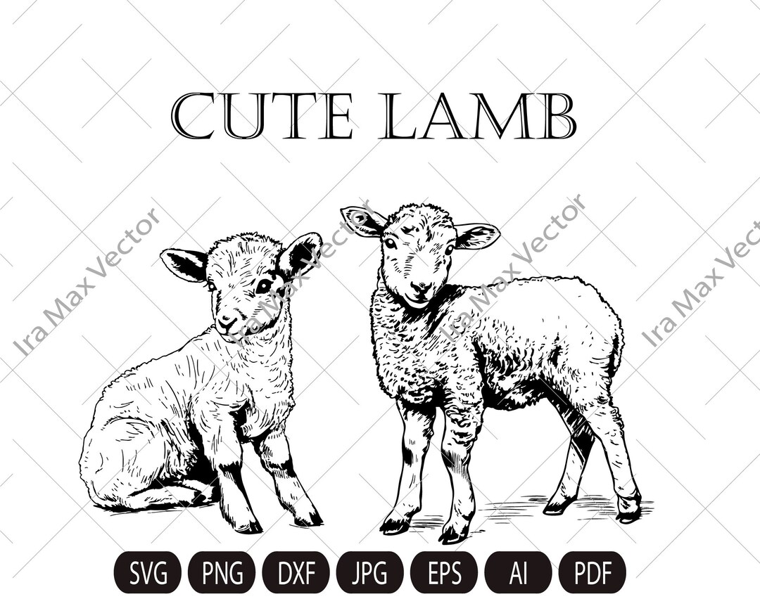 Lamb Svg, Sheep Svg, Cute Farm Animal, Livestock,farm Life, Lamb Clipart, Lamb Vector, Lamb ...